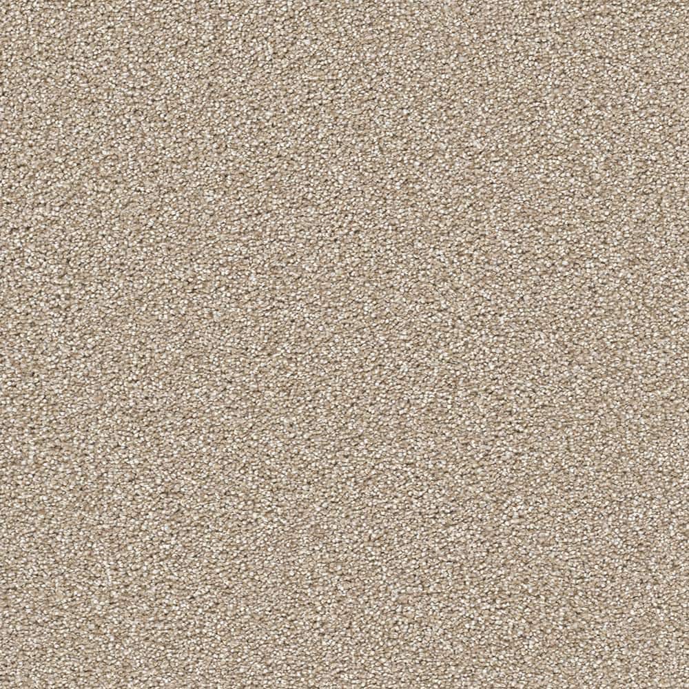 Home Decorators Collection 8 in. x 8 in. Texture Carpet Sample ...