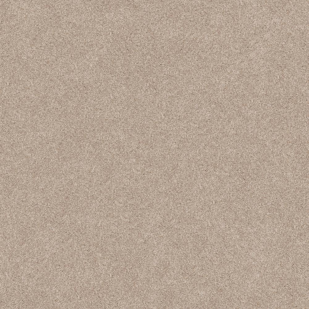 Lifeproof Coastal Charm II Color Ecru Beige 56 oz. Nylon Texture Carpet ...