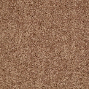 TrafficMaster 8 in. x 8 in. Texture Carpet Sample - Alpine - Color ...