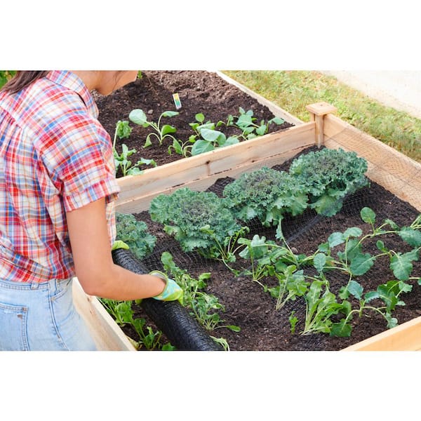 Easy Gardener 6050 Deerblock 7 By 100 Foot Netting | Fasci Garden