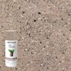 Rust-Oleum 12 oz. Stone Creations Pebble Textured Finish Spray Paint (6 ...