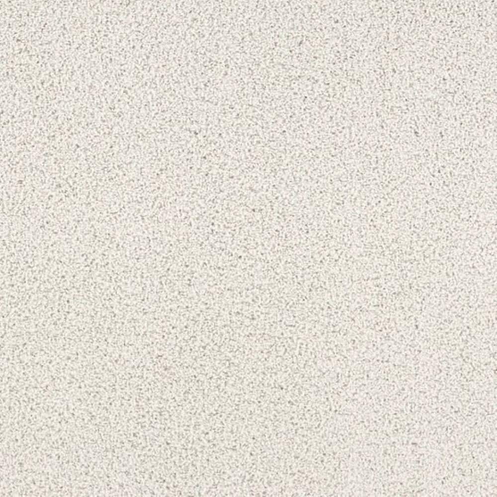 Lifeproof 8 in. x 8 in. Texture Carpet Sample - Around The World ...