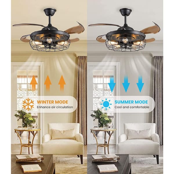 Hidden Ceiling Fans With Lights | Shelly Lighting