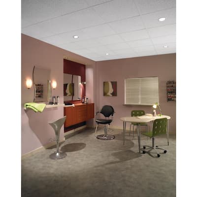 Acoustic - Drop Ceiling Tiles - Ceiling Tiles - The Home Depot