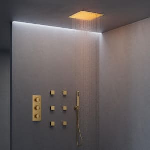 EVERSTEIN 5-Spray Square Dual Ceiling Mount Shower Heads, Fixed and ...