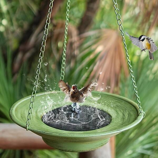 Hummingbird Bath Fountain Solar Pump For Bird Bath Hanging Bird Bath ...