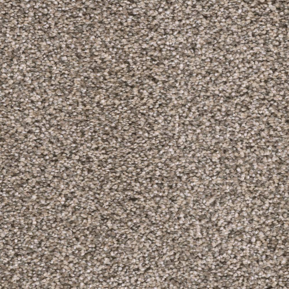 Home Decorators Collection 8 in. x 8 in. Texture Carpet Sample ...