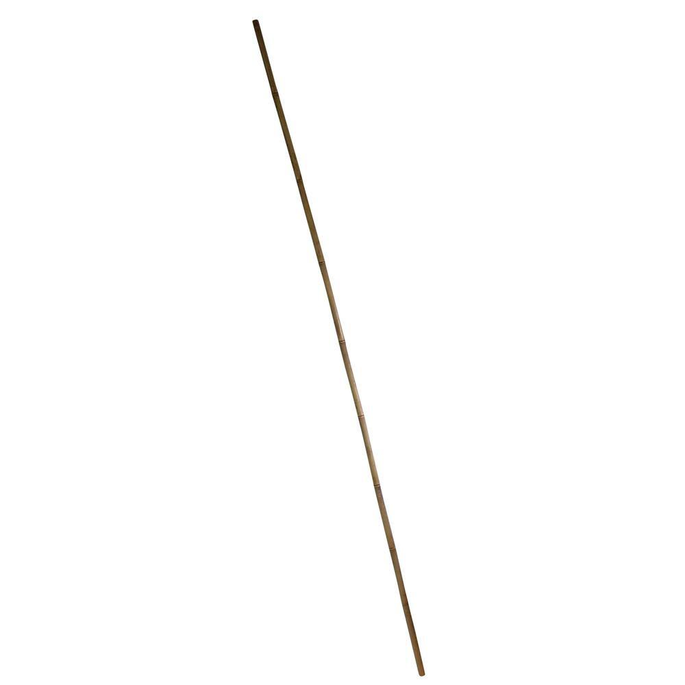 MGP 1 in. Diameter Tonkin Bamboo Pole 8 ft. L, Set of 5 BP-10-5 - The ...