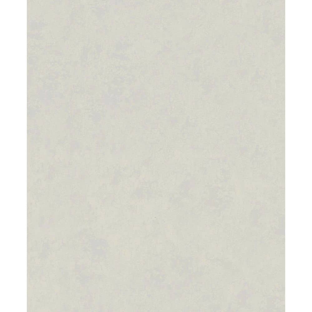 Terra Collection Silver Subtle Plaster Effect Matte Finish Clay Ink on ...