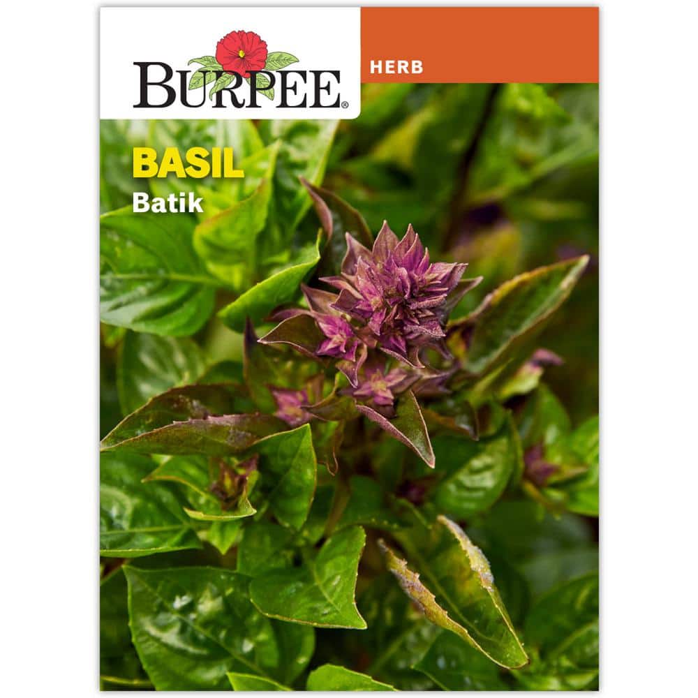 Burpee Garden Herb Basil Batik Herb Seed 61334 - The Home Depot