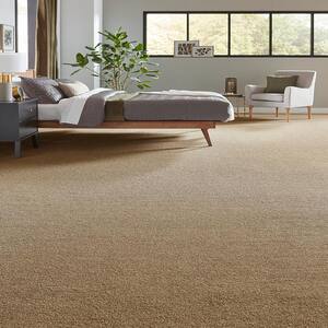 15 - Installed Carpet - The Home Depot