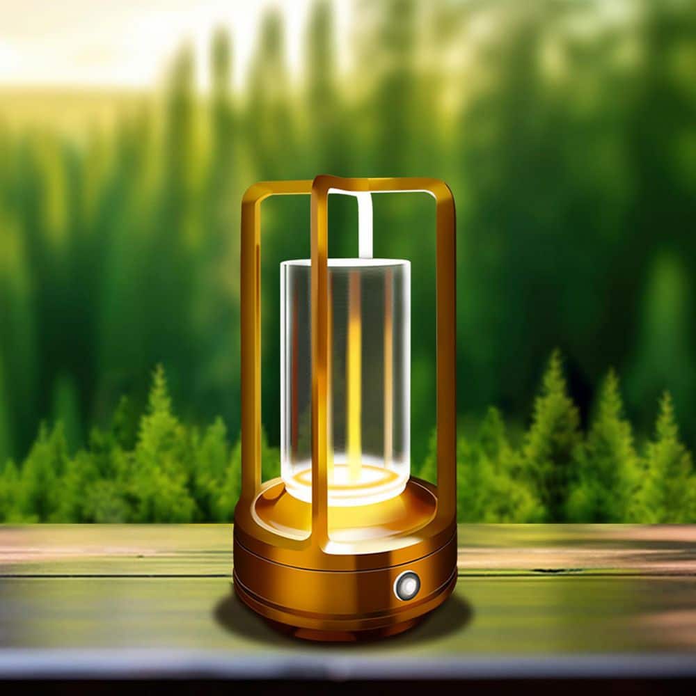 7.1 in. Gold Modern Rechargeable LED Metal Table Lamp with Clear ...