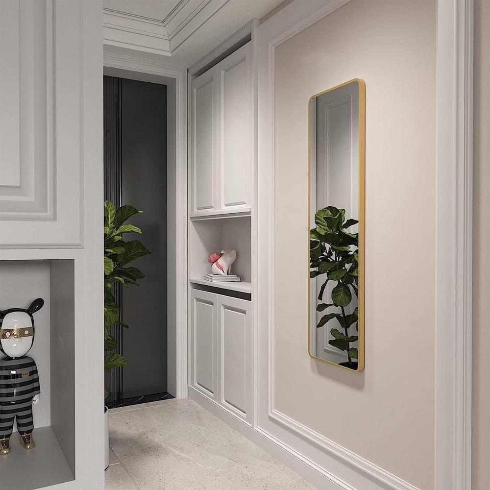 Tradrou Gold 14 in. W x 47 in. H Rectangle Glass Full-Length Framed ...