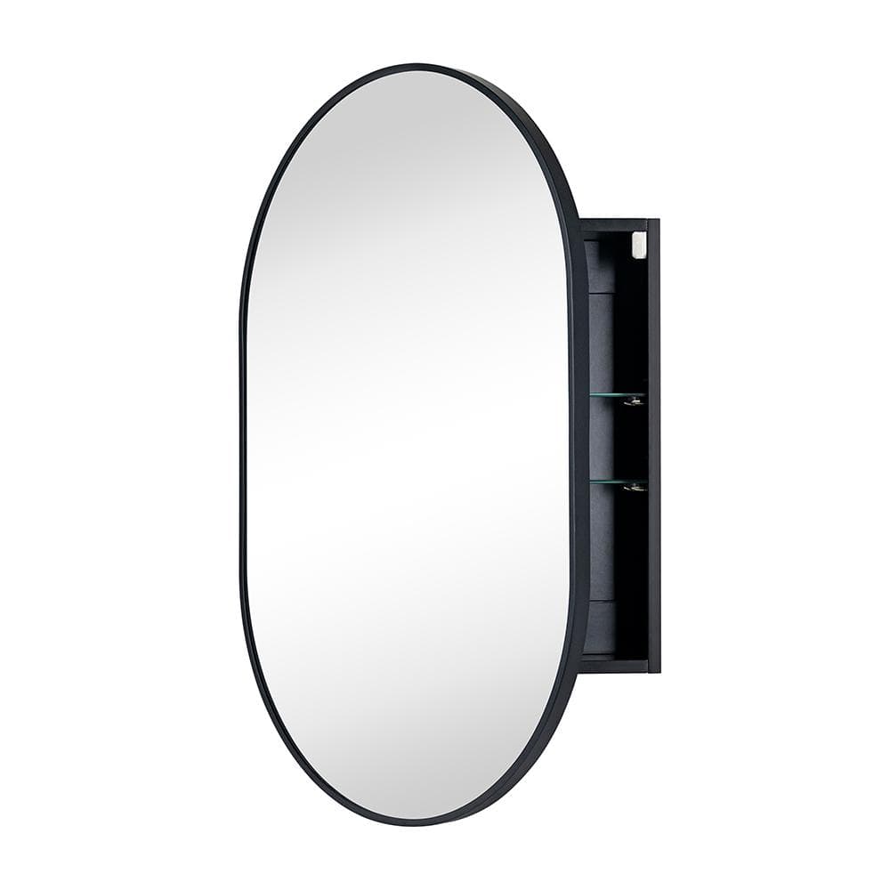 TEHOME 20 in. W x 30 in. H Oval Surface Mount Metal Framed Pill ...