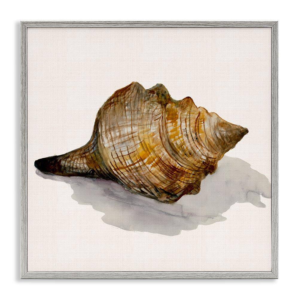 Stupell Industries Conch Shell on Beige by Jacob Q Gray Framed Coastal ...