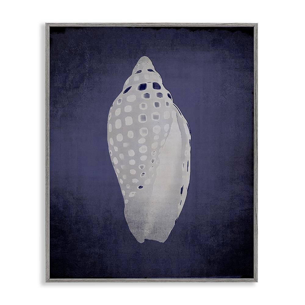 Stupell Industries Junonia on Indigo by Graffi*tee Studios Gray Framed ...