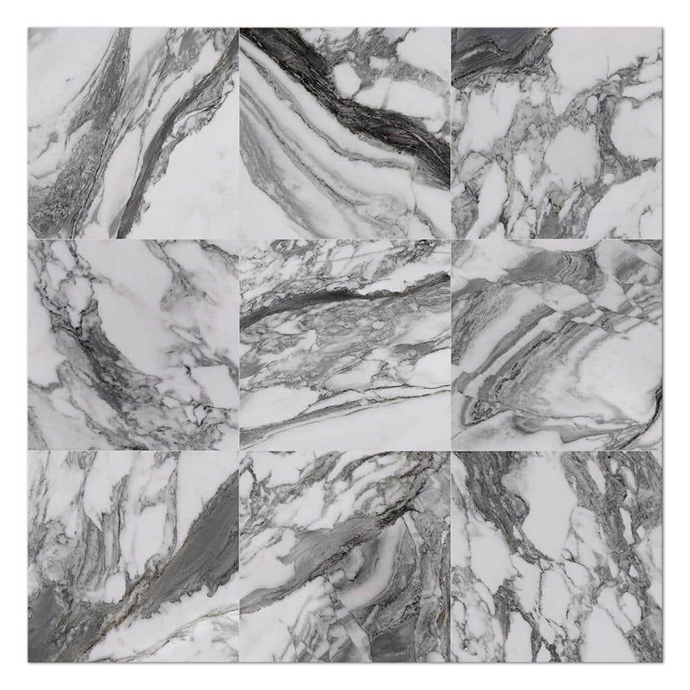 MOLOVO Senzia Arabesque 7.87 in. x 7.87 in. Matte Porcelain Tile Sample ...