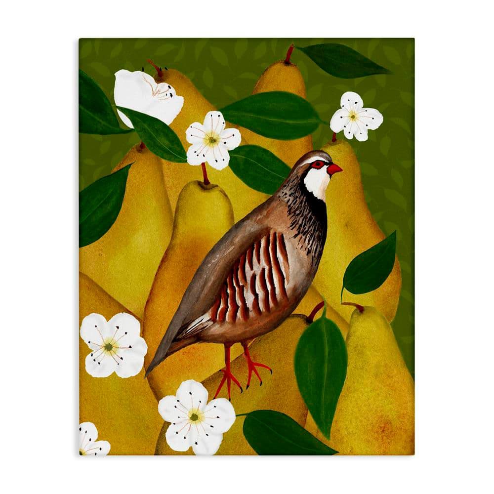 Stupell Industries Partridge Bird and Pears by Michelle Ingari Designs ...