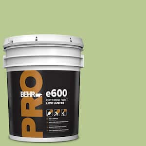 BEHR PRO 1 gal. #420D-4 Marsh Fern Low Luster Exterior Paint PR62301 ...