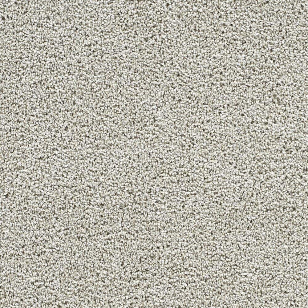 Home Decorators Collection 8 in. x 8 in. Texture Carpet Sample-Easel ...