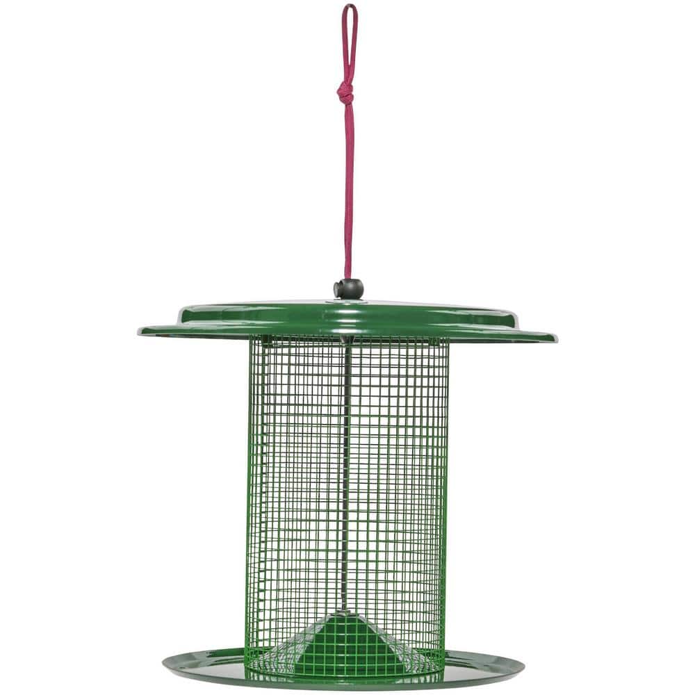 BIRDS choice Sunflower Seed Bird Feeder Color Pop Collection in Green ...