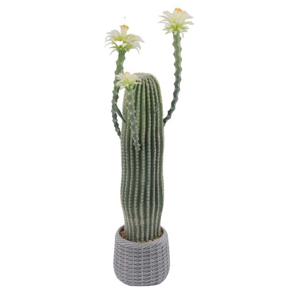 3FT Artificial Cactus Tree In Pot, 36" Desert Cacti Potted Plant ...