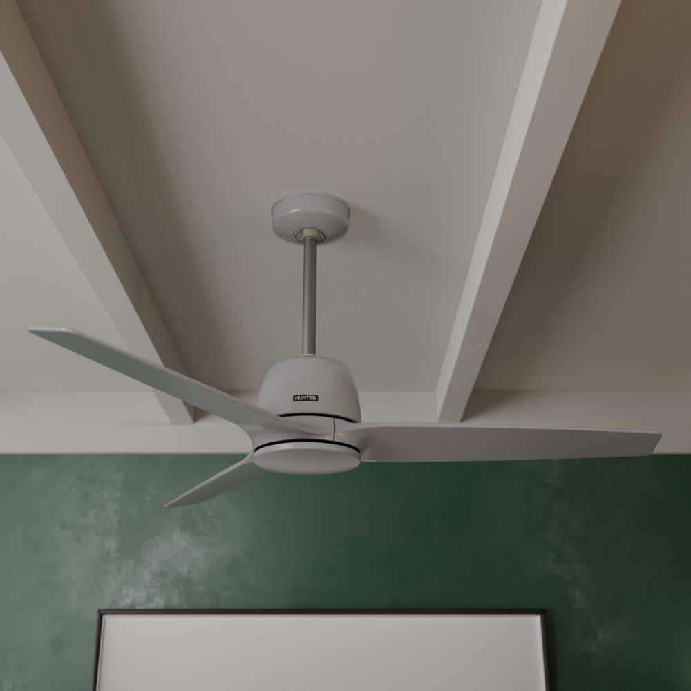 Hunter Malden 52 in. Indoor Ceiling Fan Dove Grey with Remote Included ...