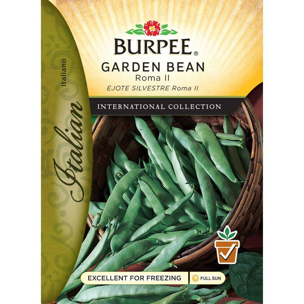 Burpee International Collection Italian Vegetable Garden Bean Roma II ...