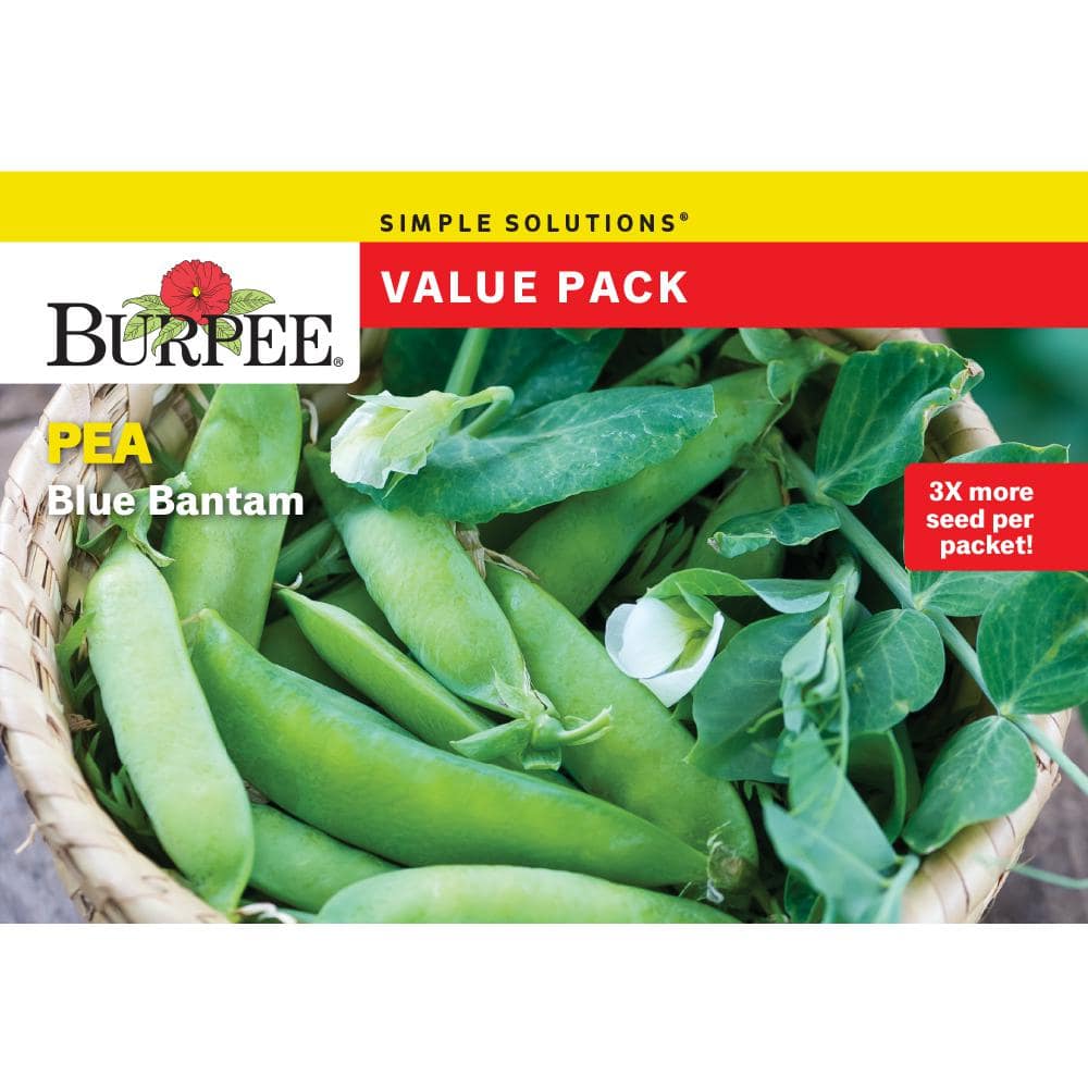 Burpee Pea Blue Bantam Value Pack Seed 69045 - The Home Depot