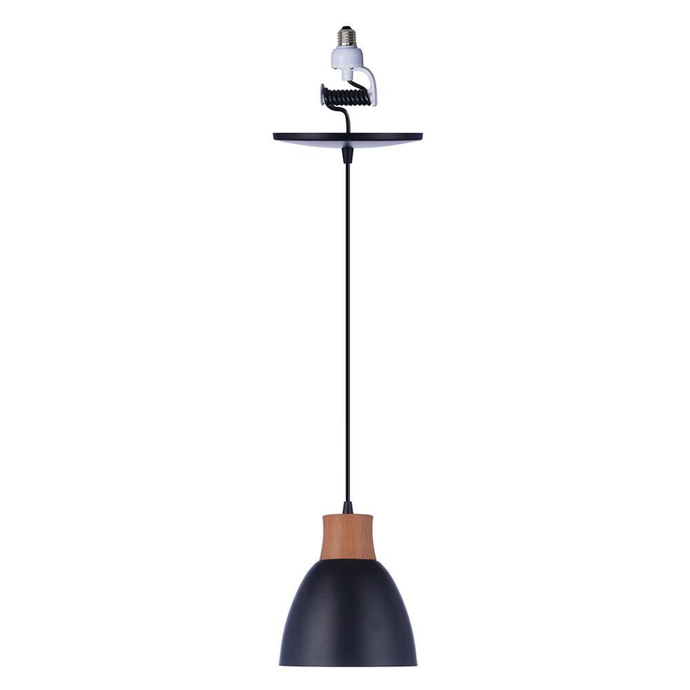Worth Home Products WHP 1-Light Matte Black with Wood Finish Cap ...