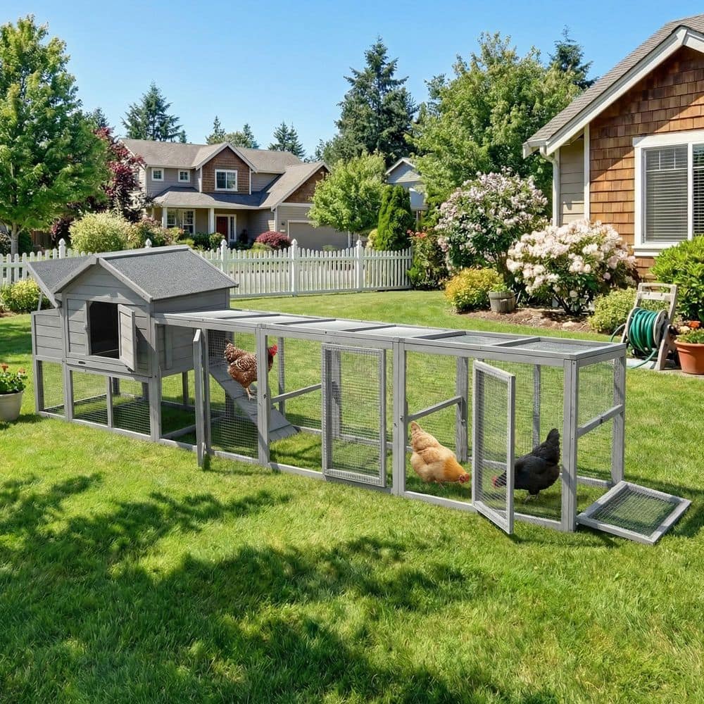 Home Depot Chicken Coop Clearance