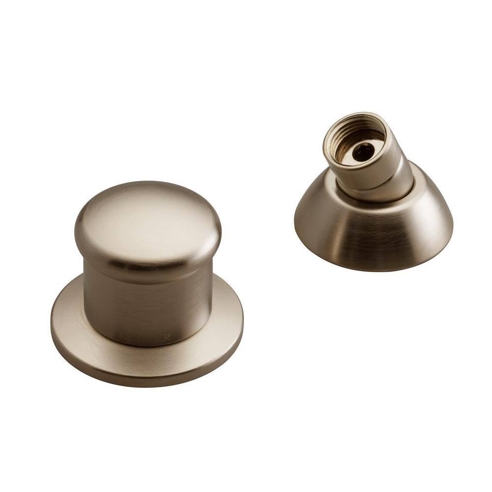 KOHLER 2-Way Diverter Valve and Hand shower Hose Guide in Vibrant ...