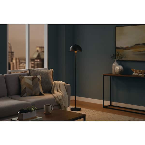 EcoSmart 60-Watt Equivalent A19 Dimmable Dusk to Dawn LED Light Bulb ...