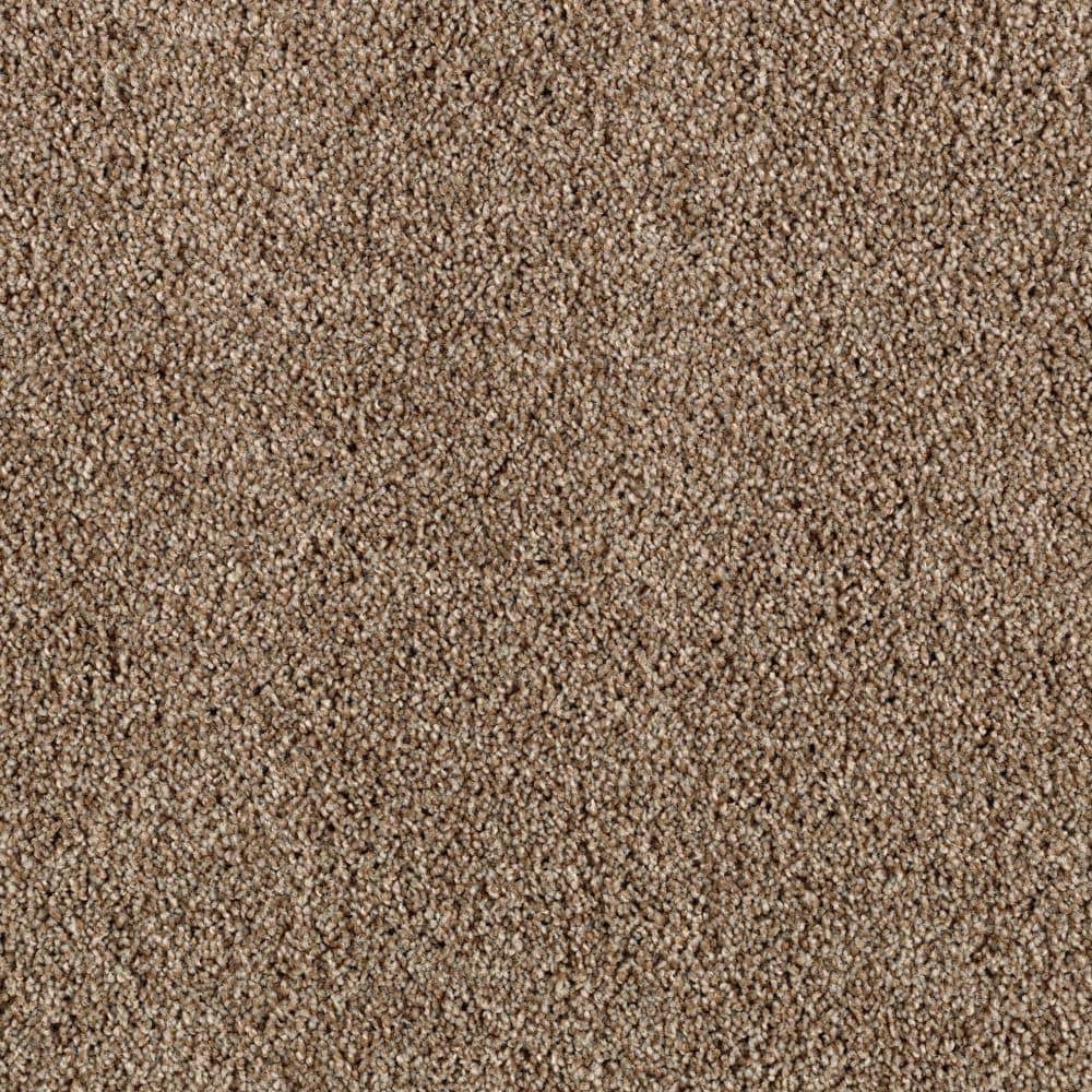 Platinum Plus Immense I - Color Soft Suede 12 ft. Carpet 0502D-32-12 ...