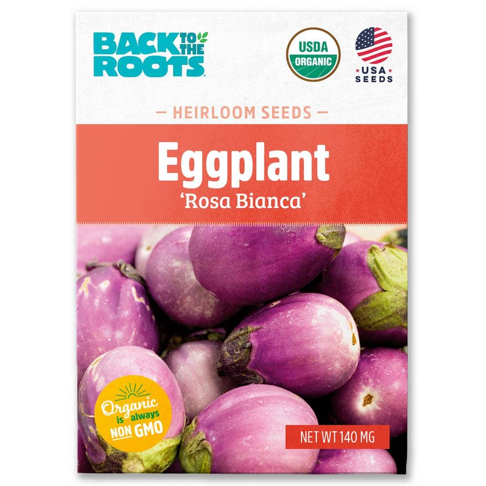Back to the Roots Organic Eggplant 'Rosa Bianca' Heirloom Vegetable ...