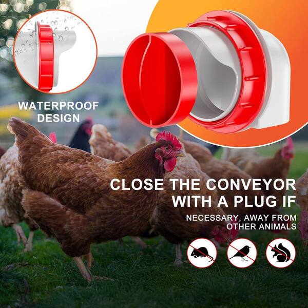 Chicken Feeders And Waterers PVC Compact Chicken Feeder Twin Pack ...