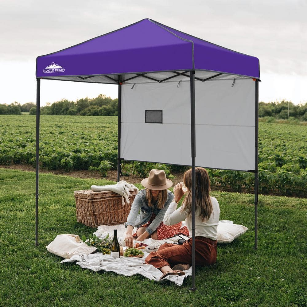 EAGLE PEAK 6 ft. x 4 ft. Instant Pop Up Canopy with Sun Wall E24HW-PUR ...