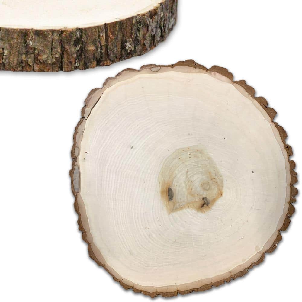 WILSON 1.625 in. x 3/4 ft. x 3/4 ft. Basswood Thick Wood Round Slices ...