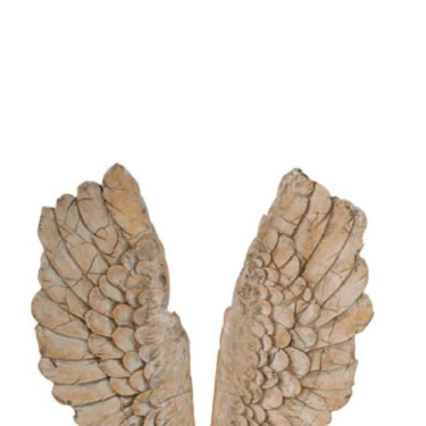 Brown Feather Wings