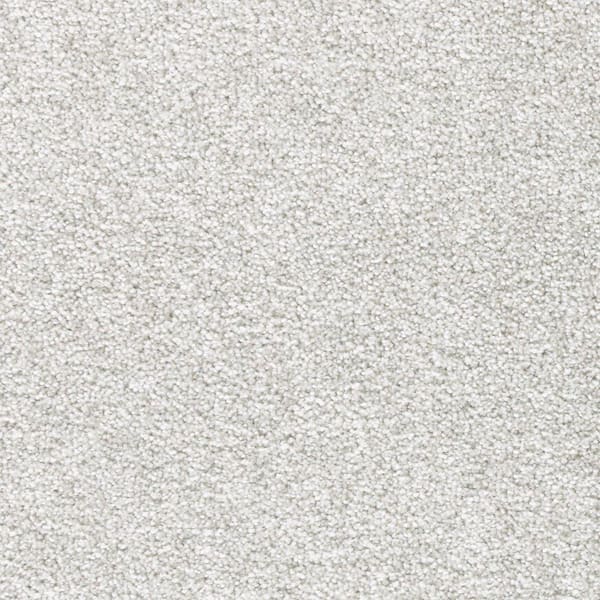 Lifeproof with Petproof Technology 8 in. x 8 in. Texture Carpet Sample ...