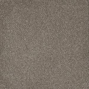 Home Decorators Collection 8 in. x 8 in. Texture Carpet Sample - Serene ...