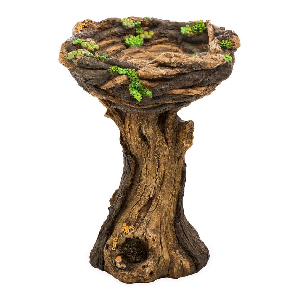 Evergreen Enterprises 27 in. Succulent Bird Nest Tree Stump Bird Bath ...