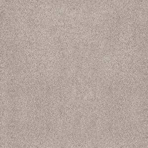 Lifeproof 8 in. x 8 in. Texture Carpet Sample - Sand Dunes II - Color ...