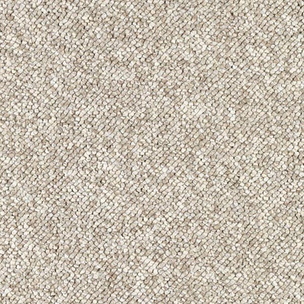 TrafficMaster Qualifier - Color Thistle Loop 12 ft. Carpet 0342D-23-12 ...