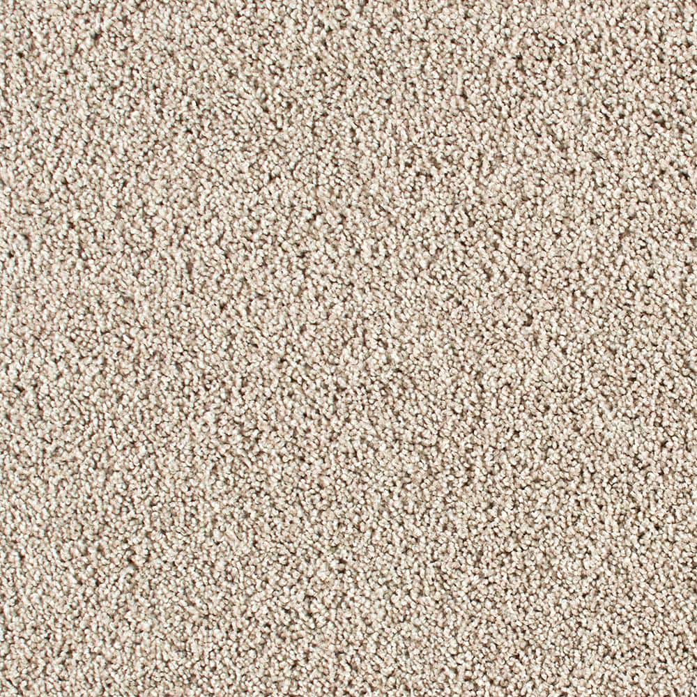 Lifeproof with Petproof Technology 8 in. x 8 in. Texture Carpet Sample ...