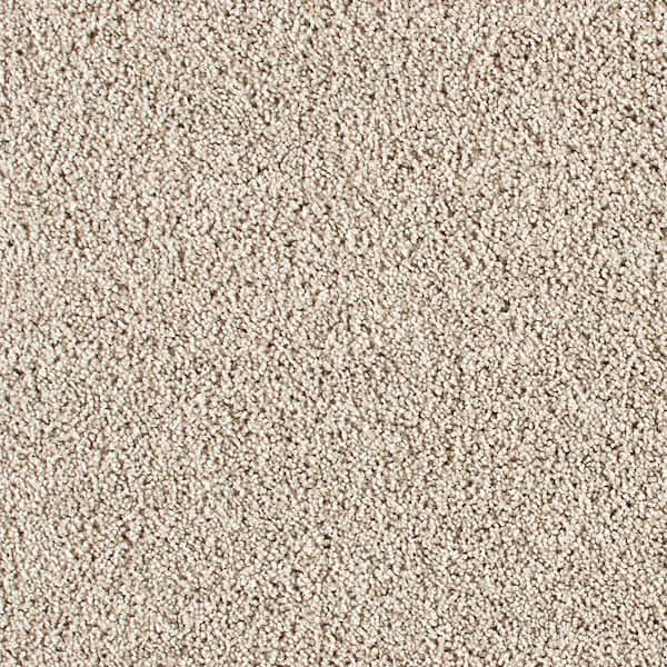 Lifeproof with Petproof Technology 8 in. x 8 in. Texture Carpet Sample ...