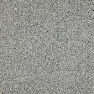 Triexta - Texture Carpet - Installed Carpet - The Home Depot