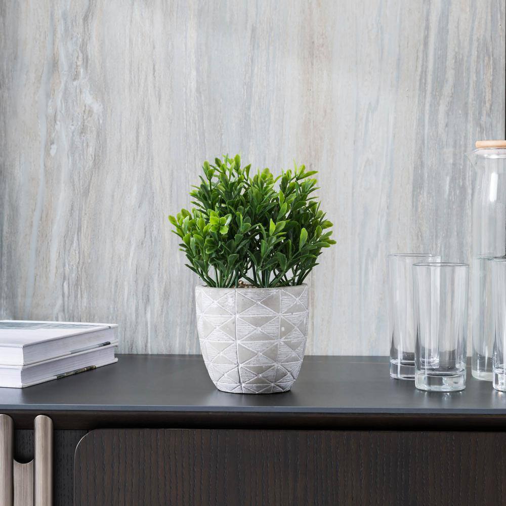 HEMSLY INC Indoor Artificial Boxwood Shrub in Geo Cement Pot 10014 ...
