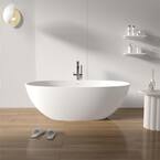 Abruzzo 65 in. x 29.5 in. Freestanding Soaking Solid Surface Bathtub ...