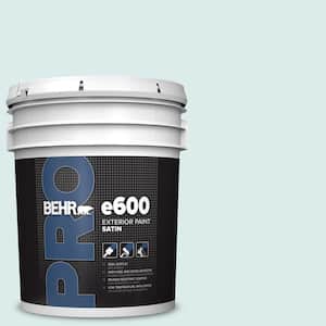 BEHR PRO 5 gal. #510E-1 Ice Folly Low Luster Exterior Paint PR62005 ...